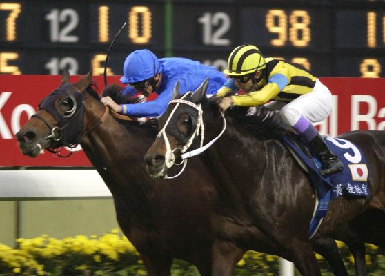 ステイゴールド産駒獲得賞金ランキングトップテン。海外でも存在感を発揮！ 個性豊かな“黄金旅程”の血 - 競馬チャンネル