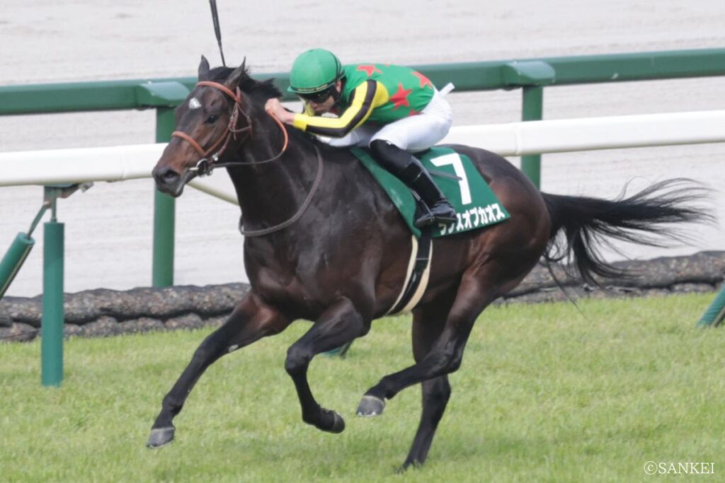 【10月13日（月）WIN5研究所】本線は16点勝負！スワンステークスは3歳馬を中心に… - 競馬チャンネル