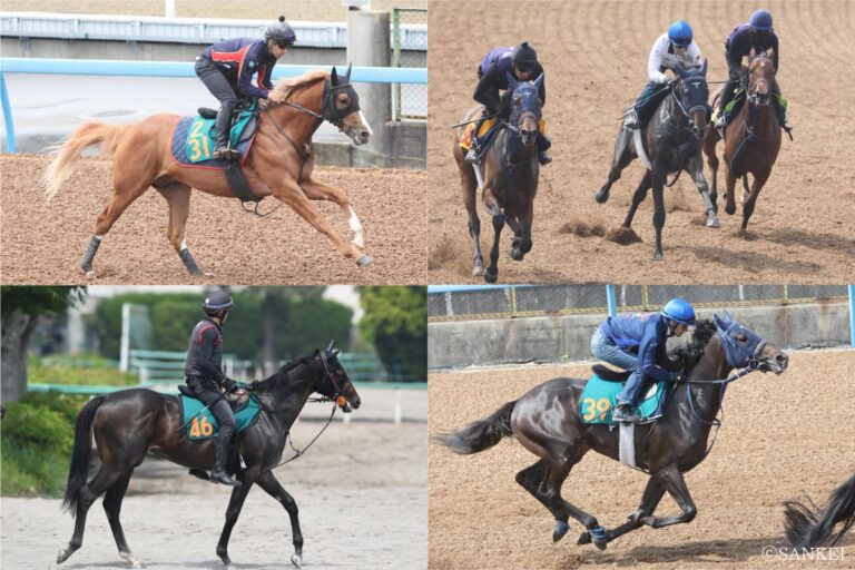 競馬チャンネル - 予想だけにおさまらない競馬情報サイト